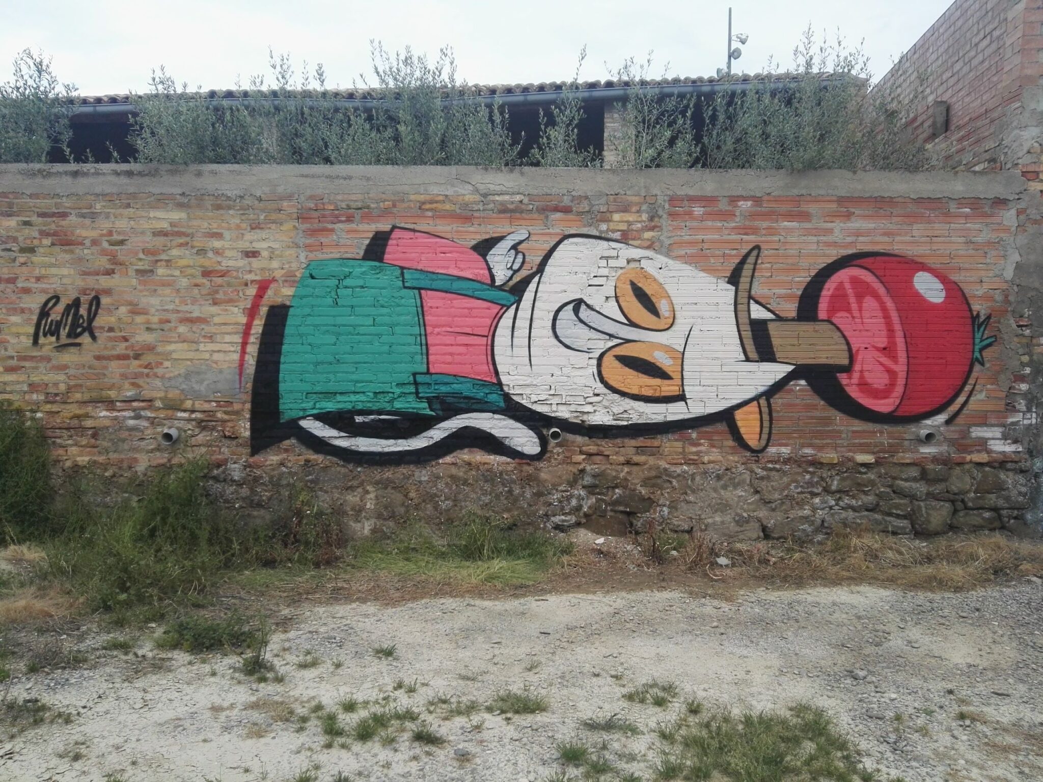 Ready to rumble with Danny Rumbl? | ASA - Amsterdam Street Art